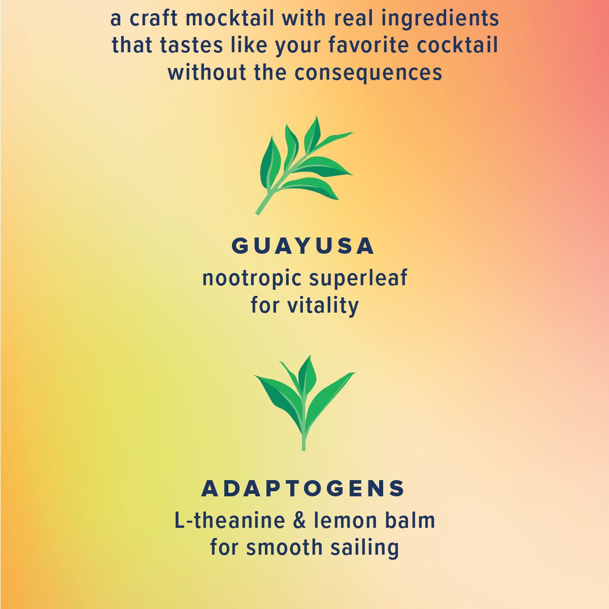 Recess- Watermelon Mojito – Swizzle: The Alcohol Free Beverages Market